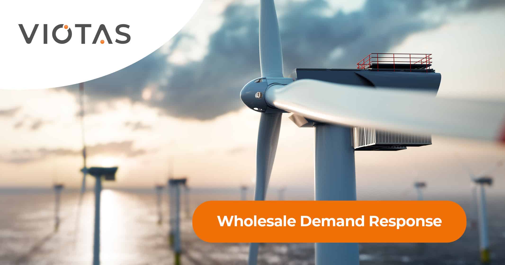 Wholesale Demand Response - VIOTAS